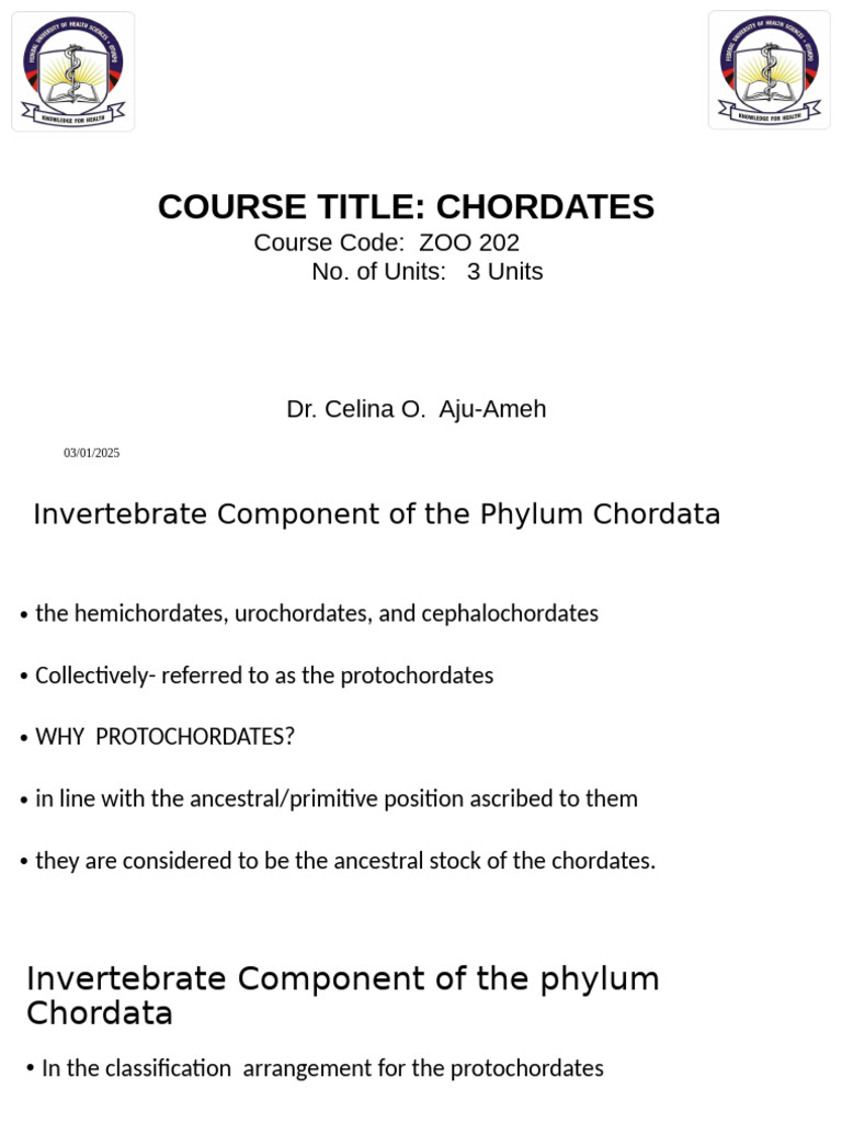 Lesson B Classification Sub Phyla | PDF | Chordates
