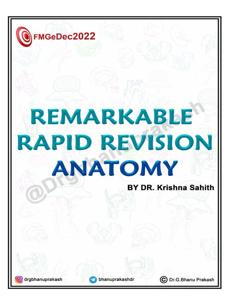 Anatomy RRR | PDF