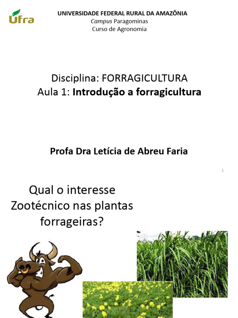 Aula 1 - Caracter Sticas Das Principais Forrageiras Cultivadas No Pa S ...