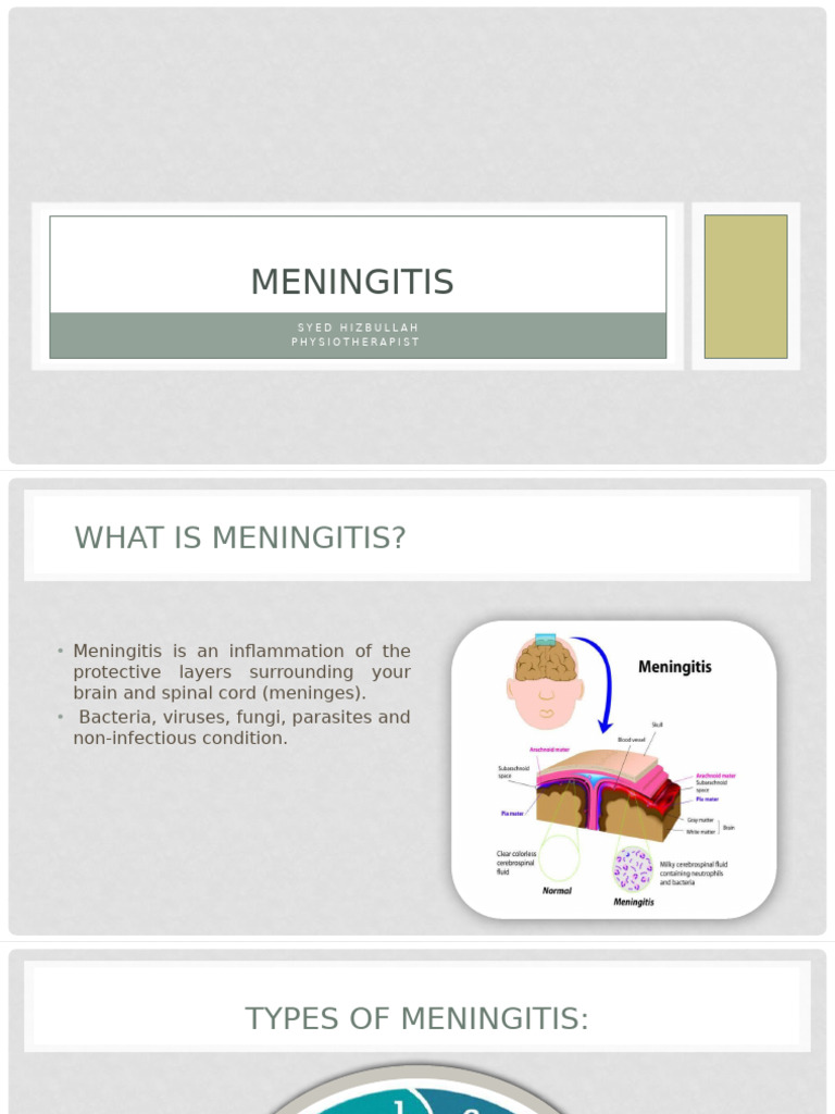 Meningitis Slides New | PDF | Meningitis | Microbiology