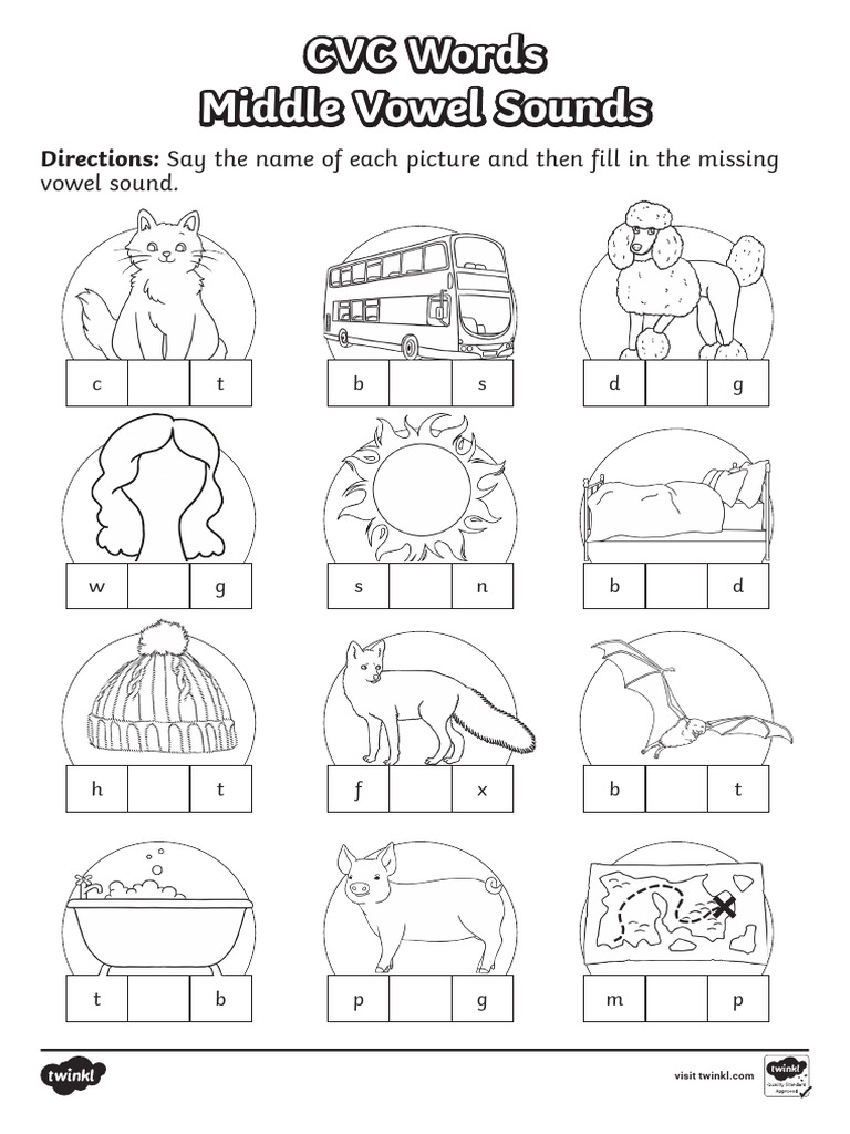 cvc-words-middle-vowel-sounds-activity----eco-black-and-white | PDF