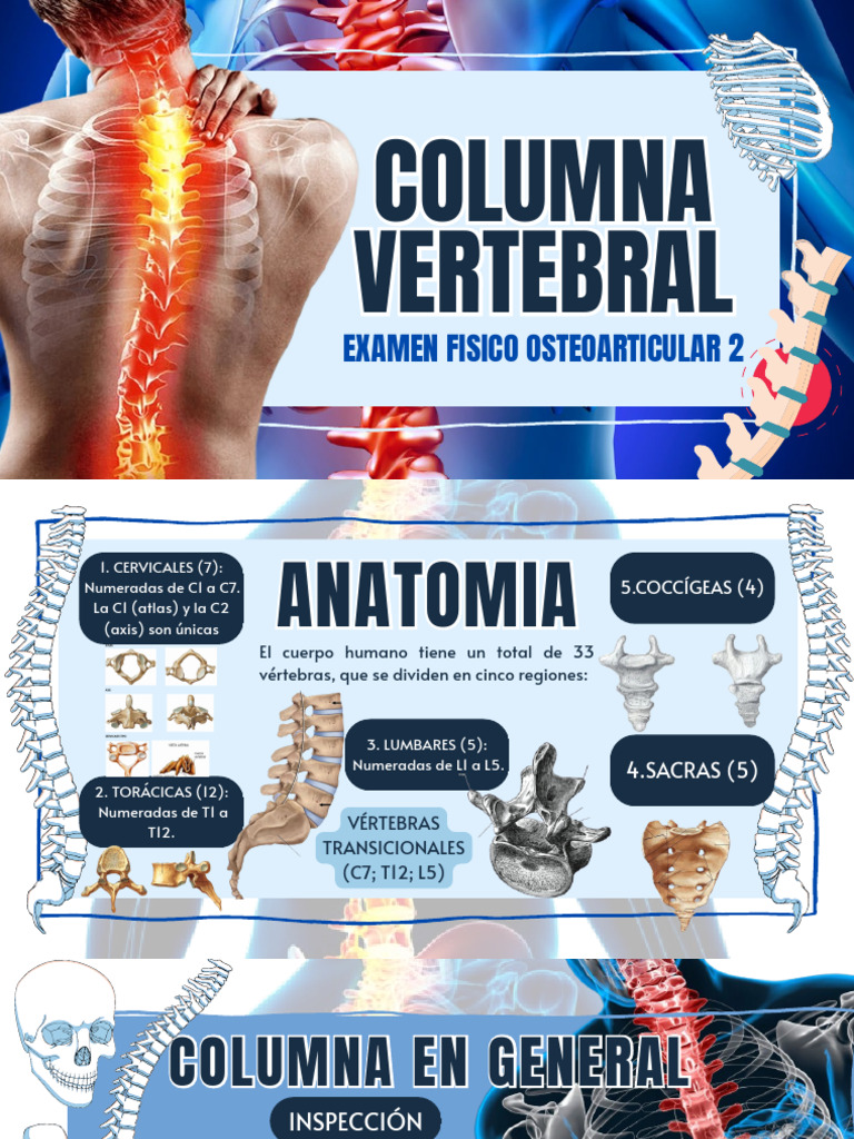 Examen Físico de la Columna Vertebral | PDF | La columna vertebral ...
