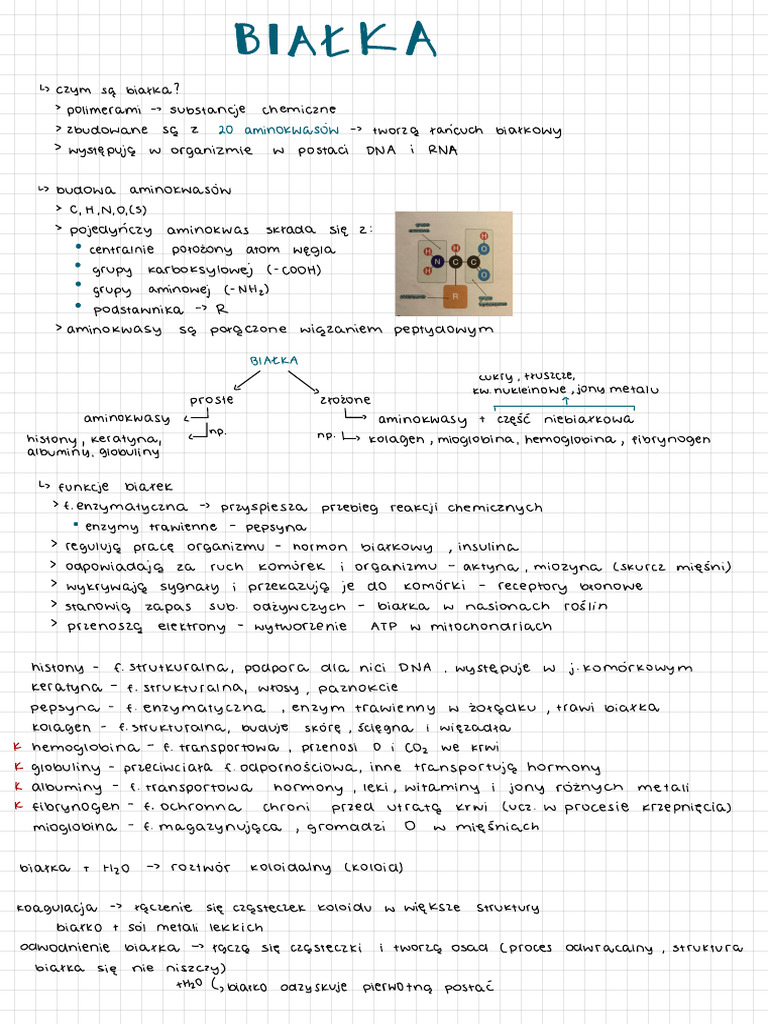 Biologia Bialka, Lipidy | PDF