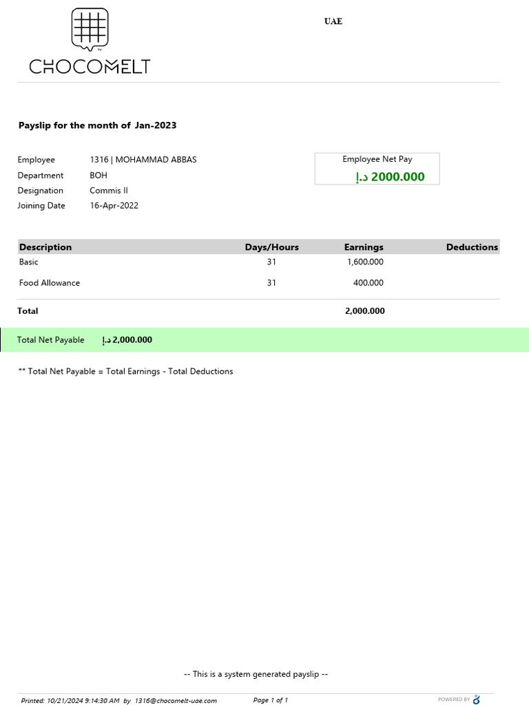 Employee Payslip 5 | PDF