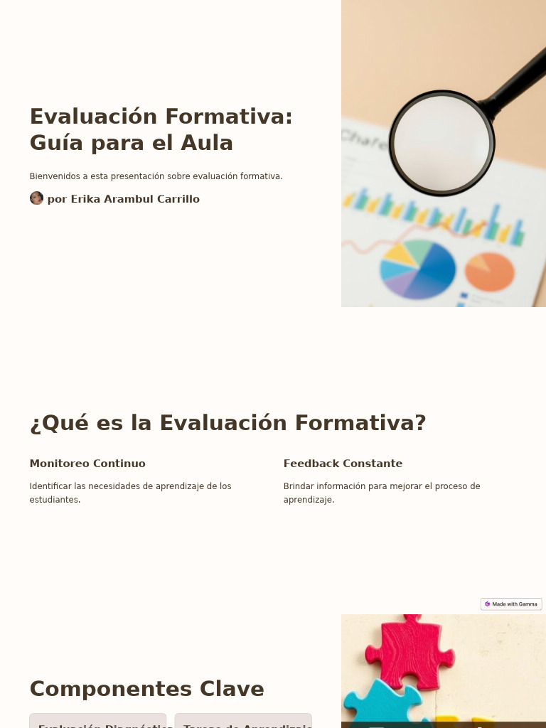 Guía de Evaluación Formativa en Aula | PDF