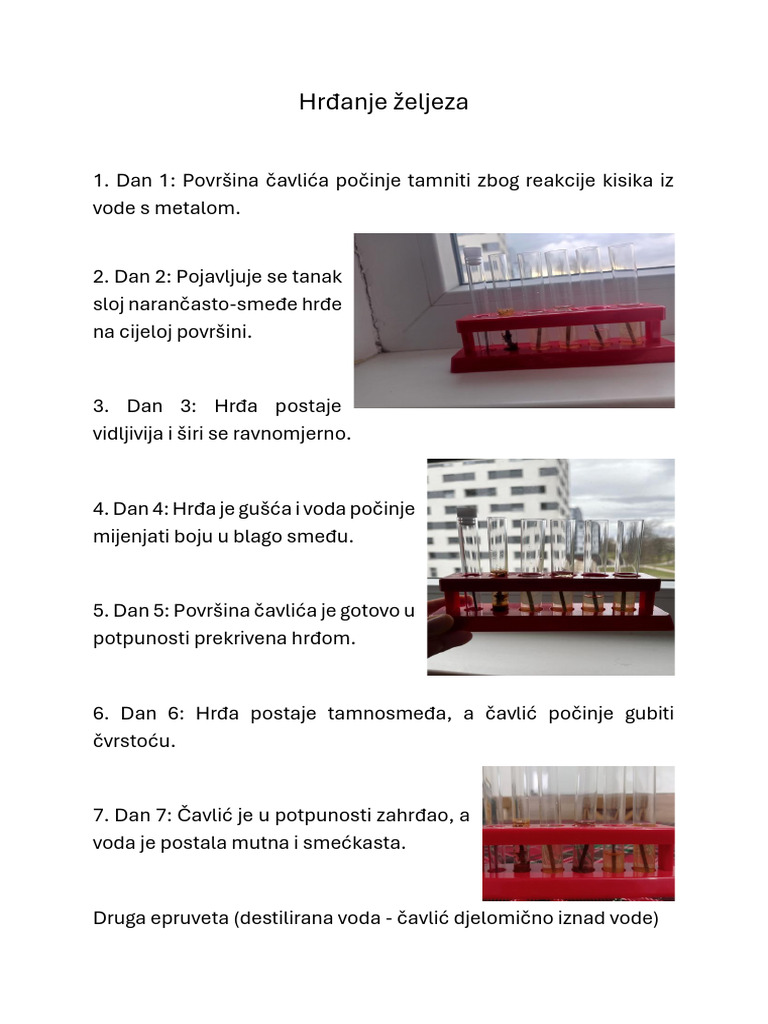 Pokus | PDF
