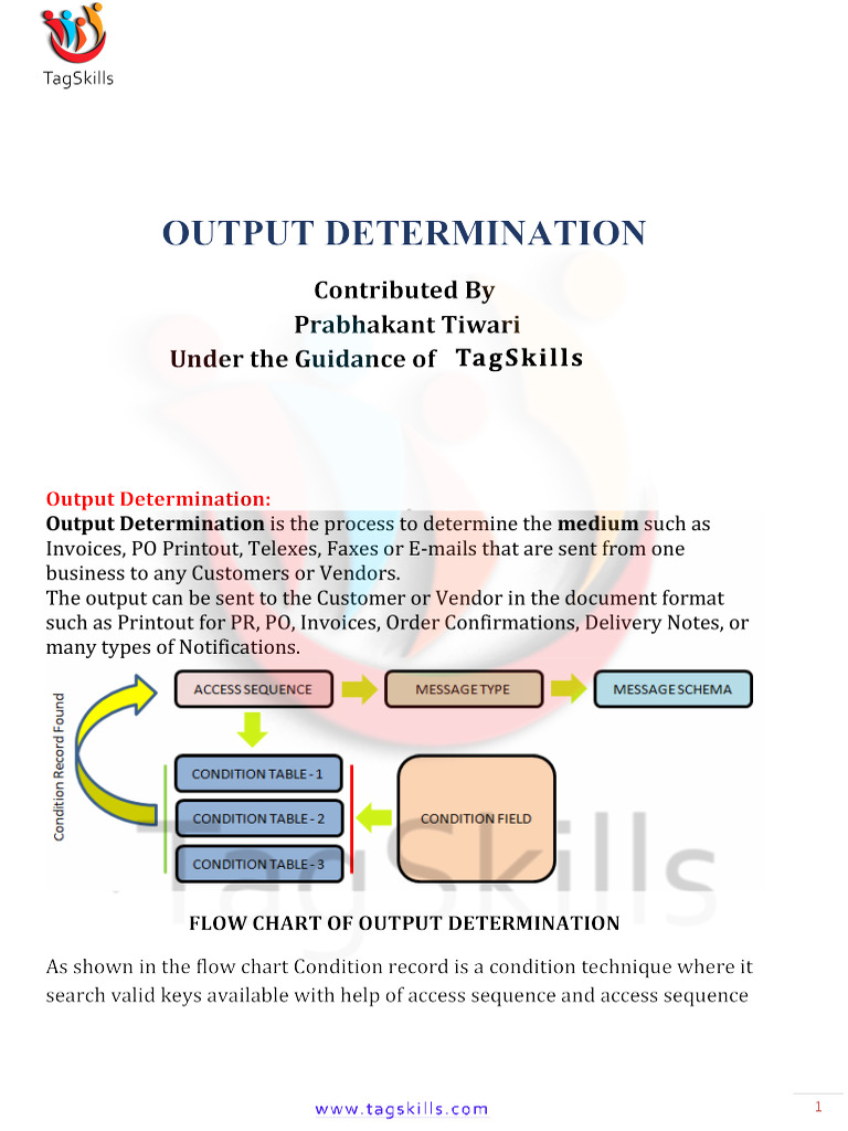 Sap Output Determination Process | PDF