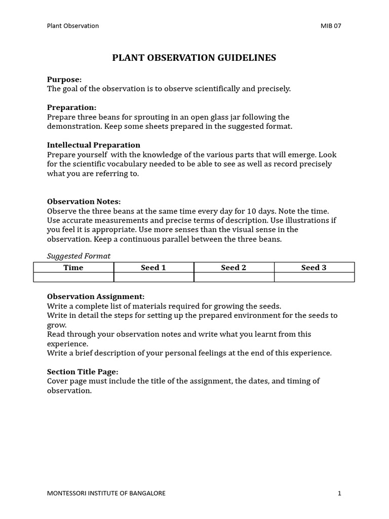 Monggo Seed Observation Days 1-5 | PDF | Seed | Agriculture