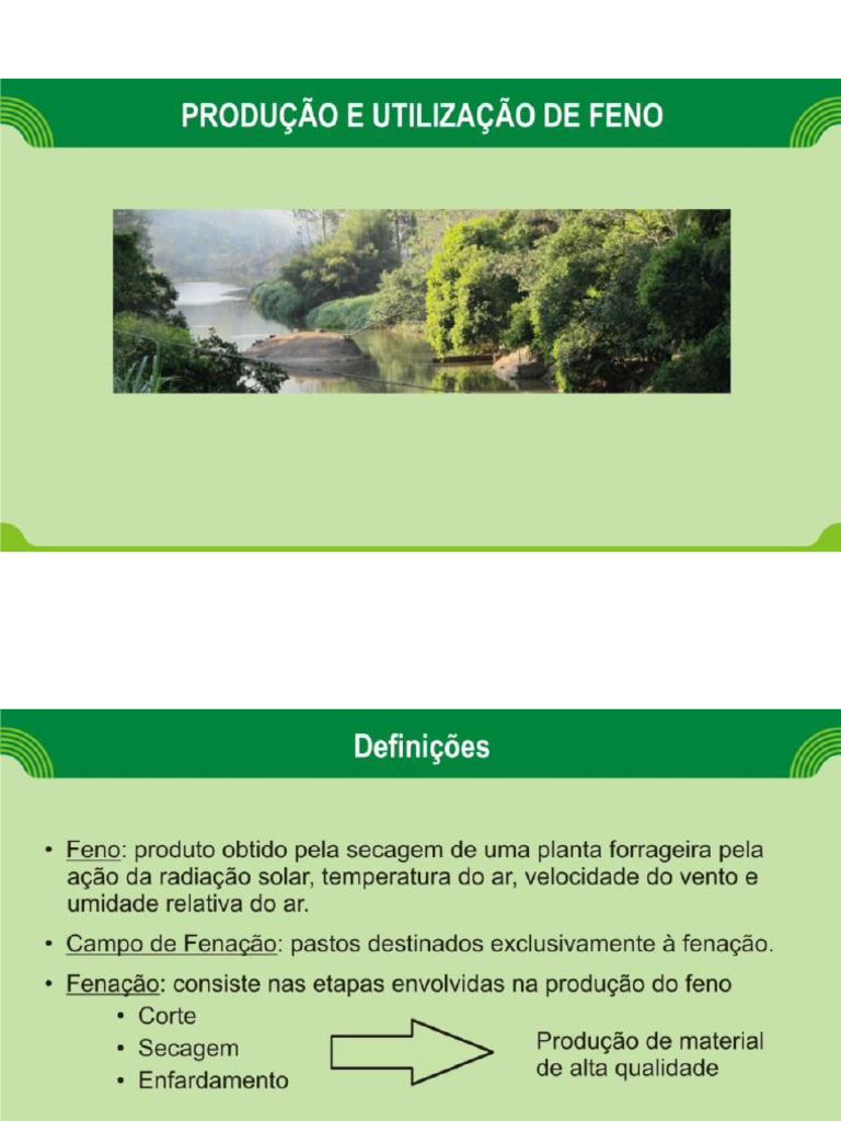 Aula 03 Producao e Utilizacao Do Feno | PDF