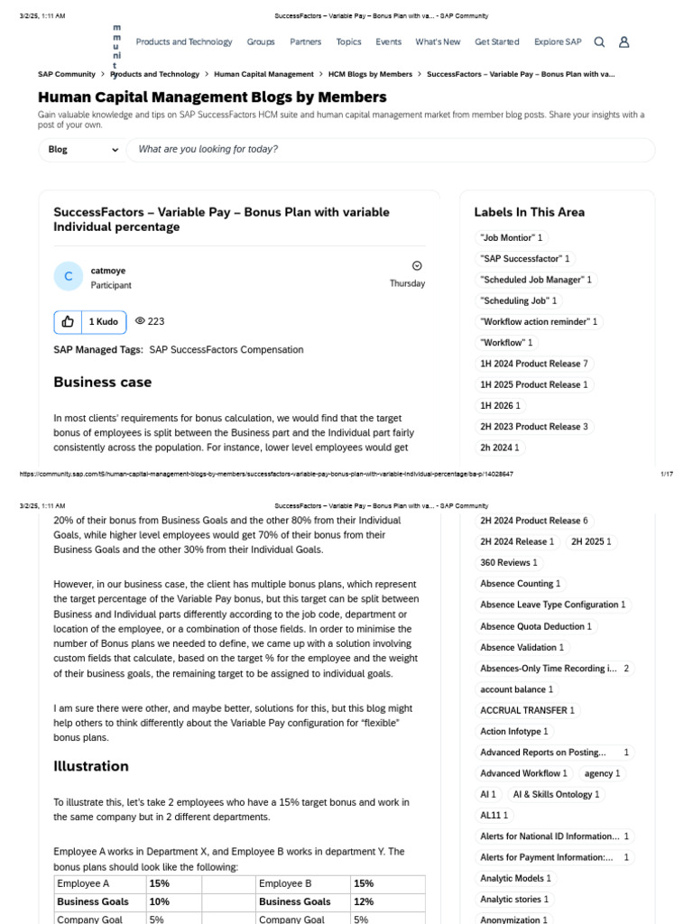 2H 2025 Variable Pay Bonus Plans | PDF | Business | Human Resource ...