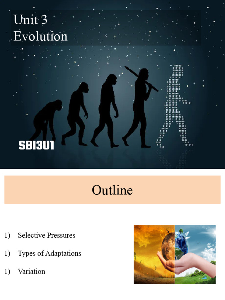 2 Adaptation and Variation | PDF | Genetic Diversity | Adaptation
