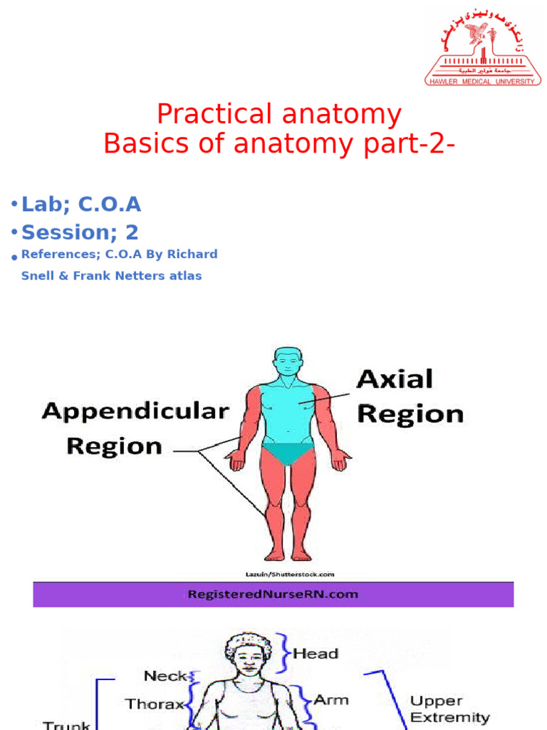 Coa 102 | PDF