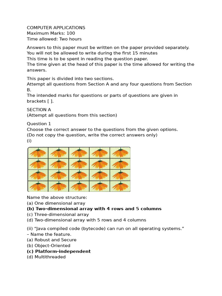 Computer Applications Prac Pdf Parameter Computer Programming Computer Programming