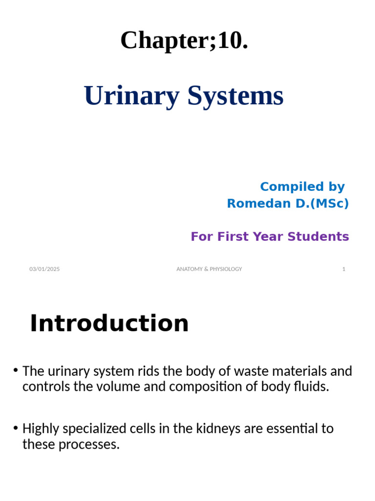 Ana & Phy of Ut. Lab. 2015 Ec | PDF | Kidney | Urinary System