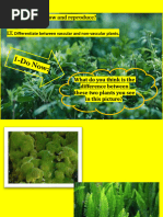 Amoeba Sisters Video Recap of Plant Reproduction in Angiosperms | PDF