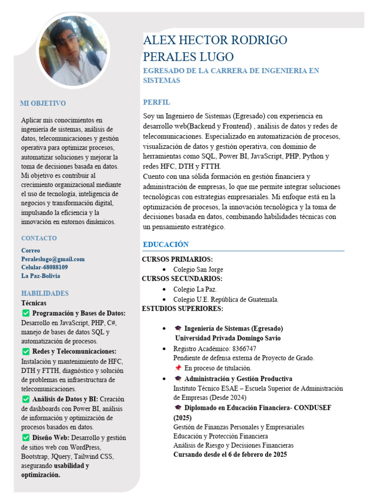 Curriculum Vitae Alex Perales 2025 | PDF | Logística | Business