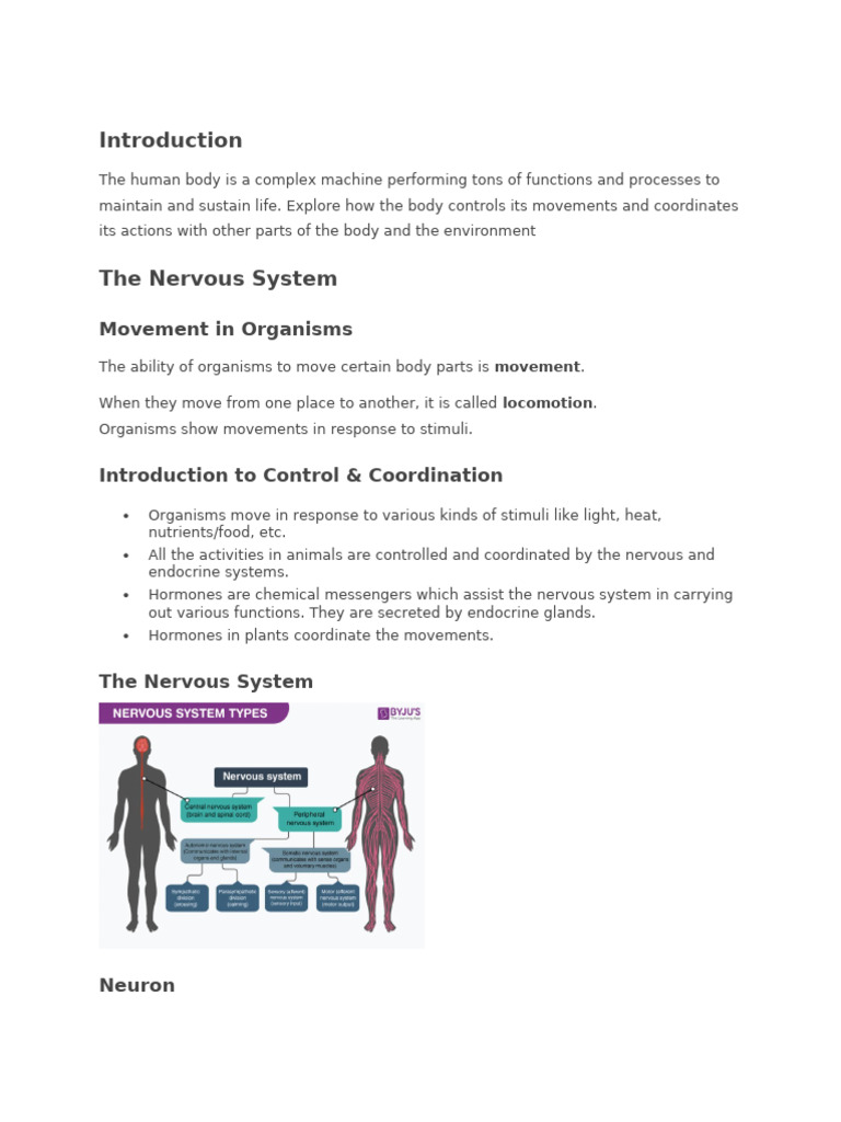 Control and Coordination Notes | PDF | Autonomic Nervous System ...