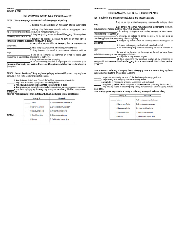 Grade5 - SUMMATIVE TEST 1 - 3RD QUAERTER | PDF