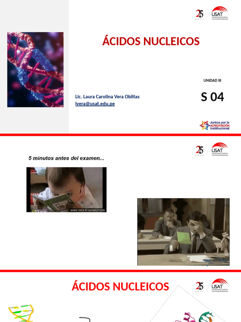 Semana 4 Acidos Nucleicos | PDF | Ácidos nucleicos | Nucleótidos