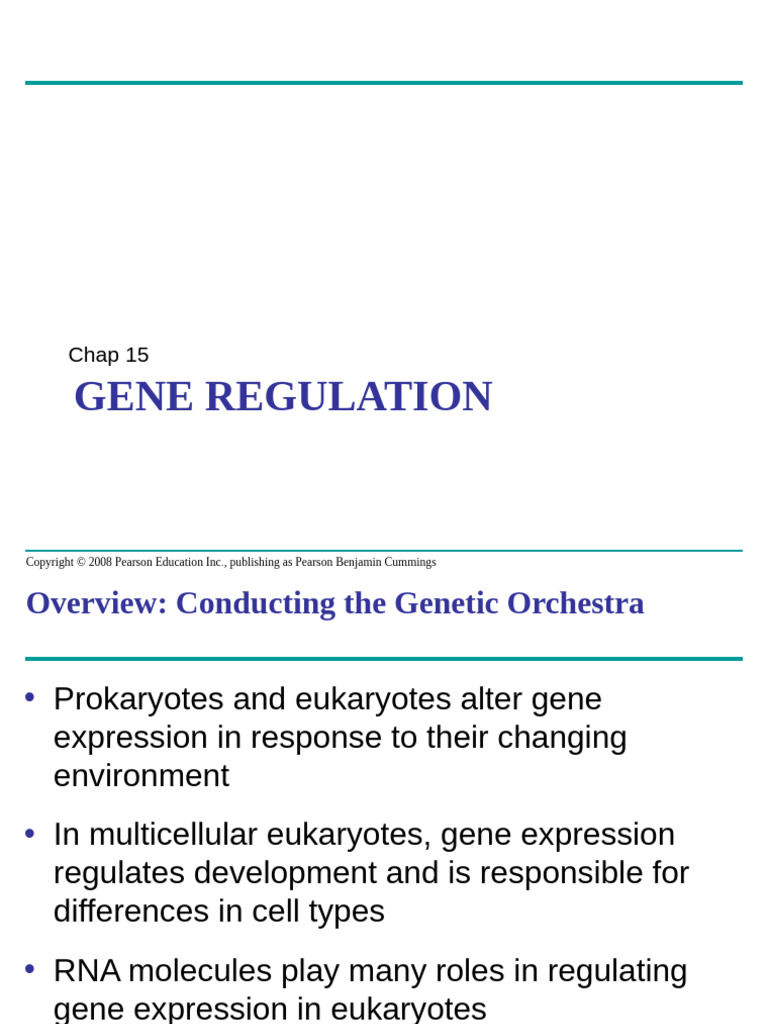 CH +15+Regulation+of+Gene+Expression | PDF | Operon | Repressor