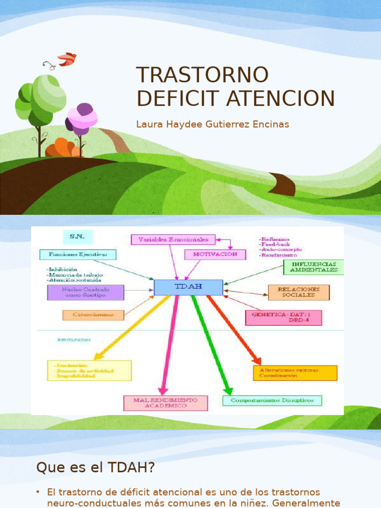 Guía Completa sobre el TDAH en Niños | PDF | Desorden hiperactivo y ...