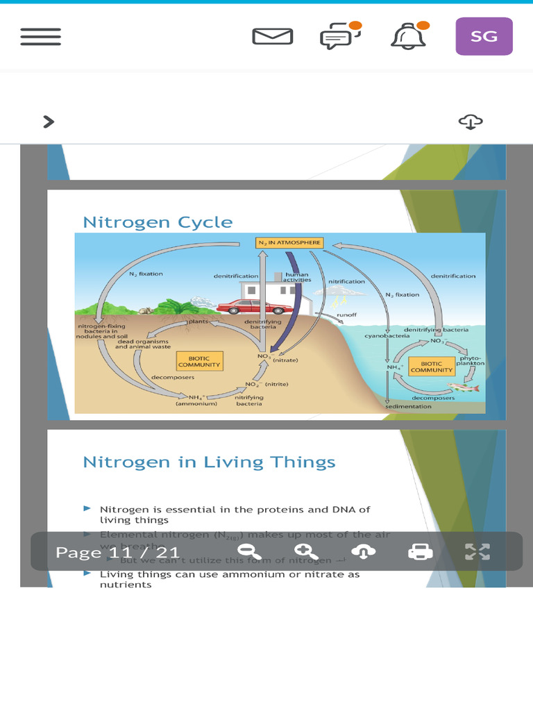A.2 - Biogeochemical Cycles (W2020) - Biology 20 - Wehlage (Fall 2024 ...