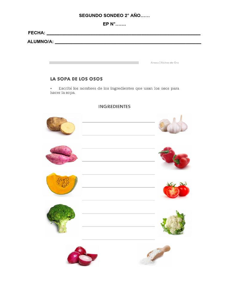SEGUNDO SONDEO 2° | PDF