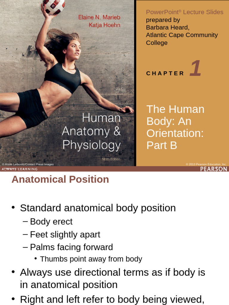 CH 01 Lecture Presentation B | PDF