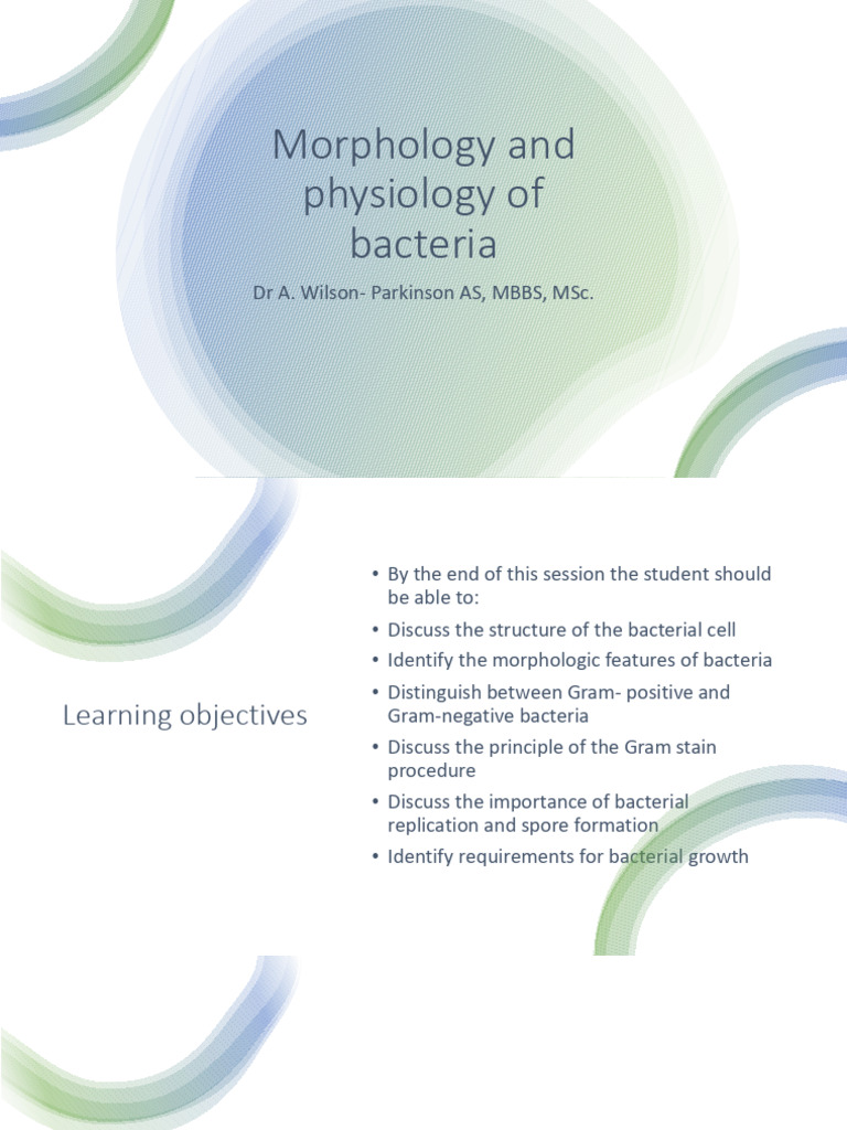 Bacterial Morphology and Physiology | PDF | Bacteria | Plasmid