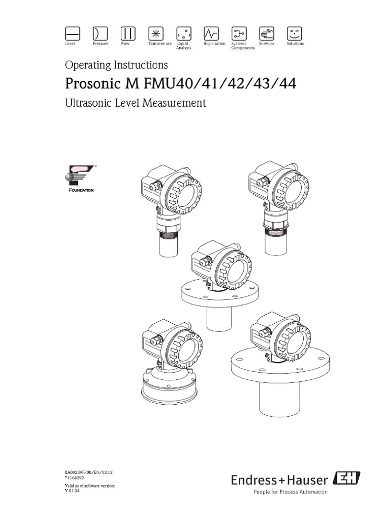 endress level manual | PDF