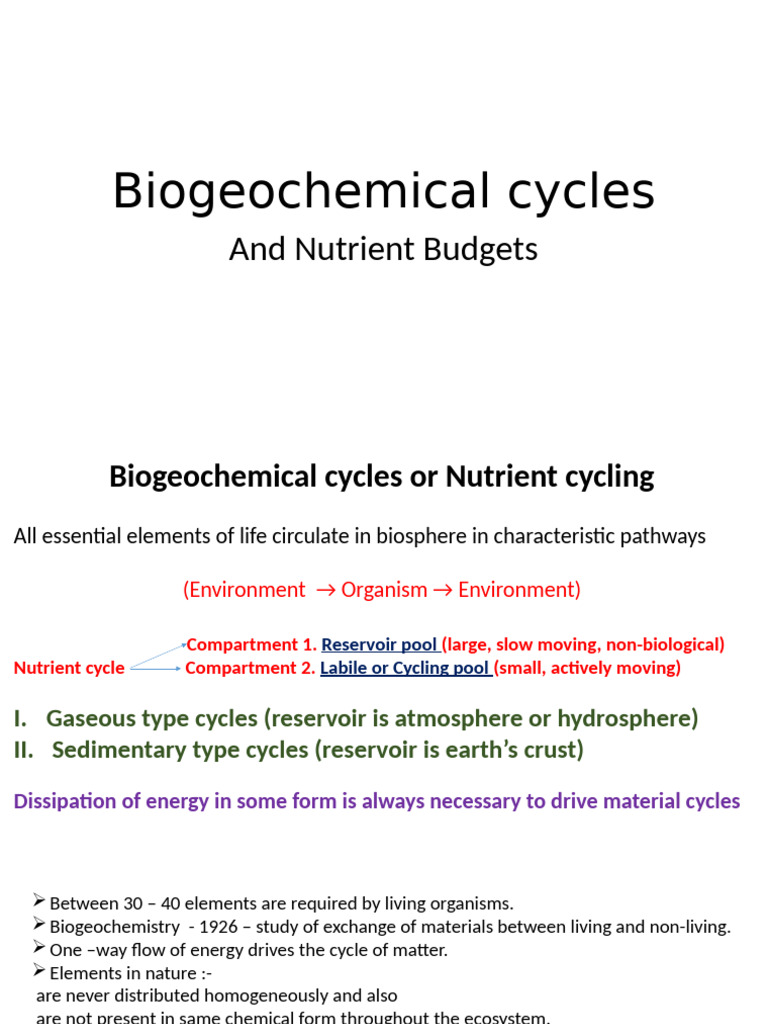 Biogeochemical Cycles and Nutrient Budgets | PDF | Ecosystem | Soil
