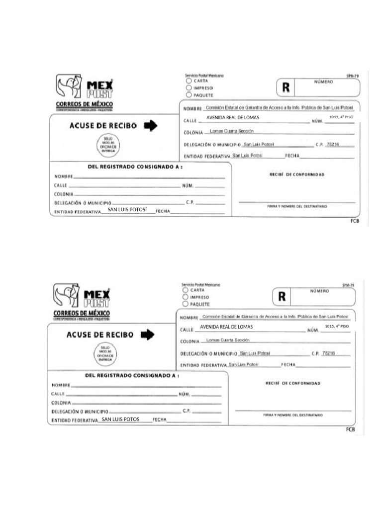 Formato Acuse Sepomex | PDF