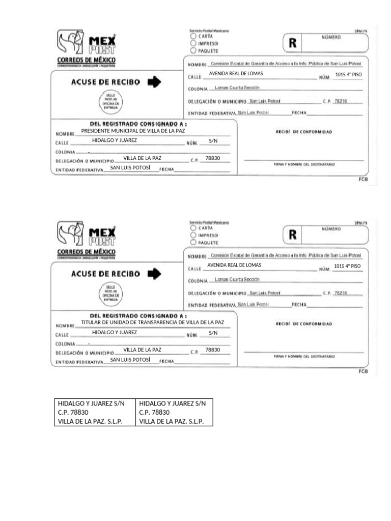 Acuse Sepomex Villa de Lapaz | PDF