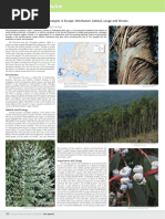Eucalyptus Tree Adaptations Explained | PDF | Eucalyptus | Trees
