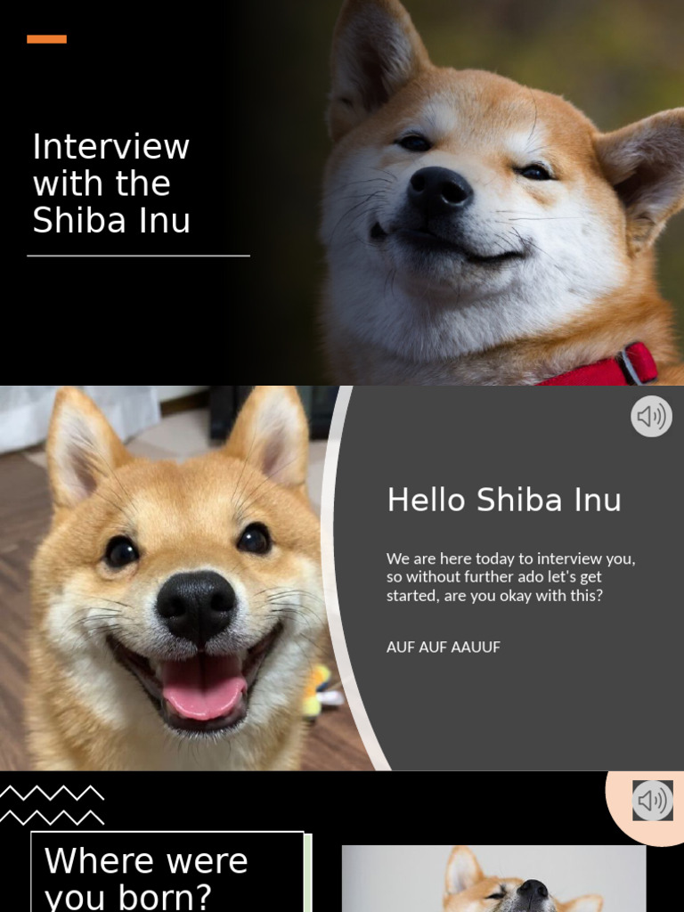 Trab Ing ShibaInu1 | PDF