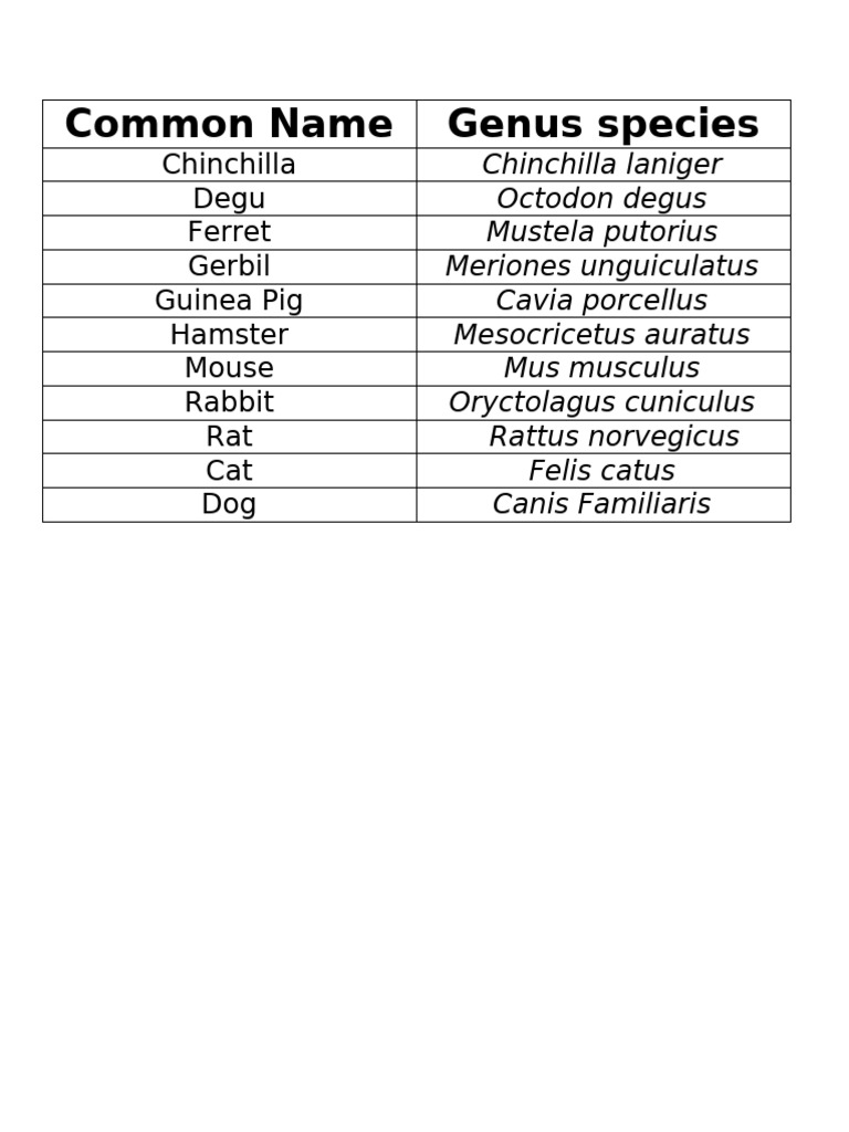 Genus Species Small Animal Chart | PDF