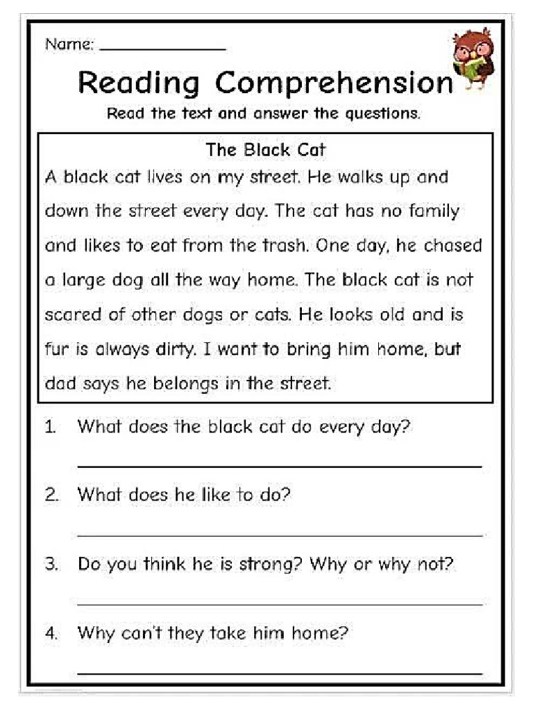 Literacy Level 2 | PDF