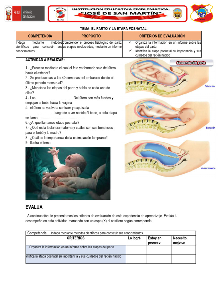 Ficha de Trabajo de El Parto y La Etapa Posnatal | PDF