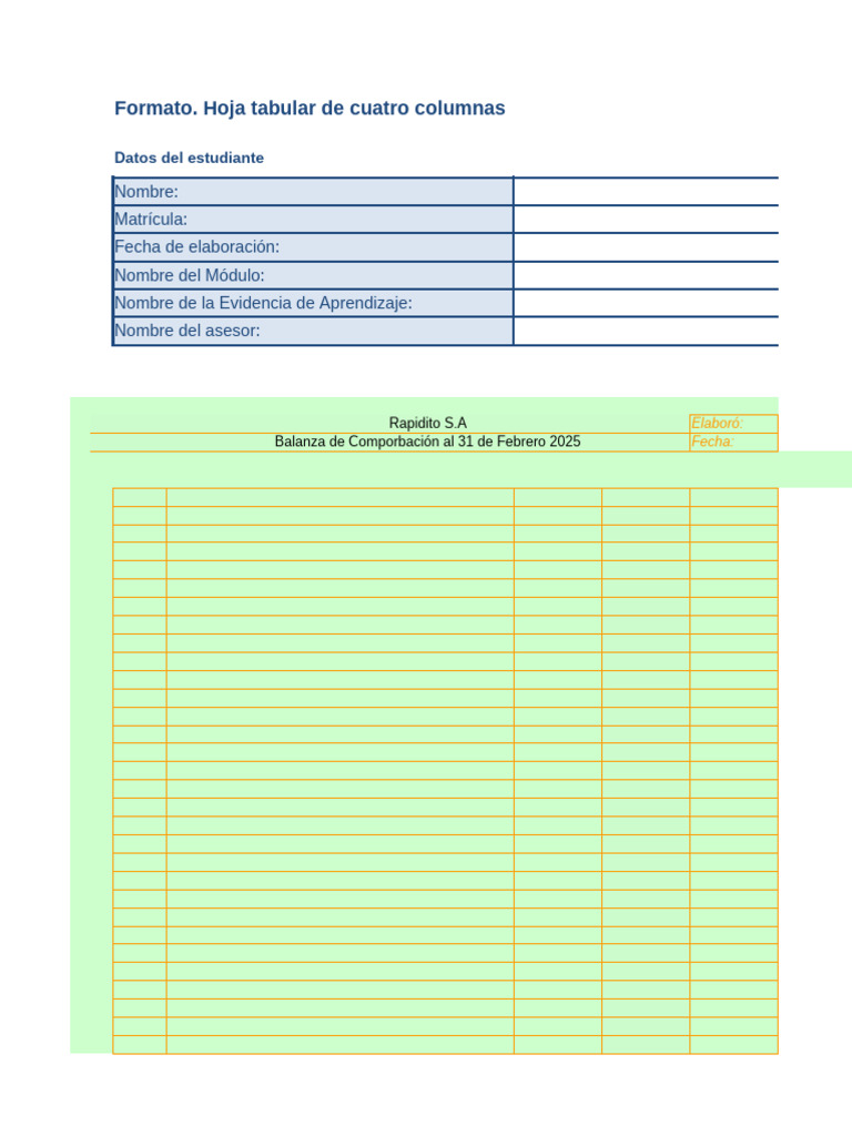 CF EA5 Formato RJDI | PDF