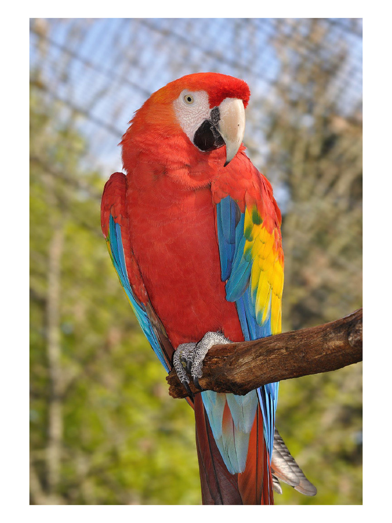 Image To PDF 20250301 062614 | PDF