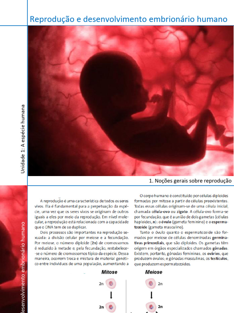 Aula 1 Reprodução e Embriogênese | PDF | Gêmeo | Interações biológicas