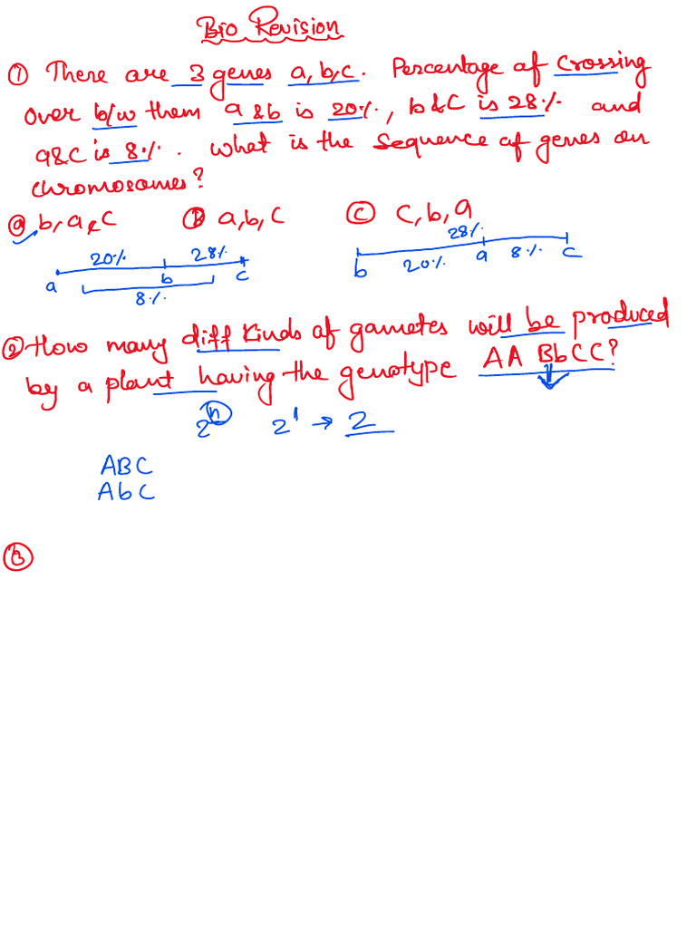 Genetics Class 12 Revision | PDF