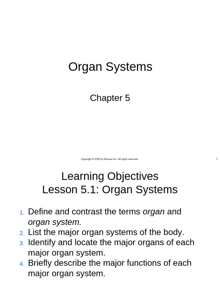 Chapter 5 Organ Systems Power Point | PDF | Endocrine System ...