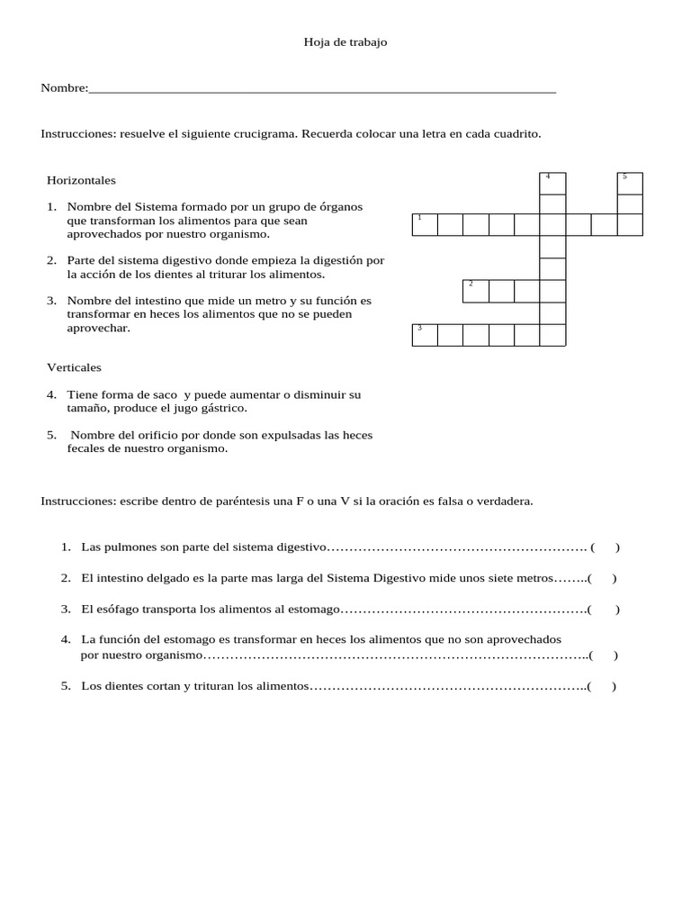 hoja de trabajo del sistema digestivo | PDF