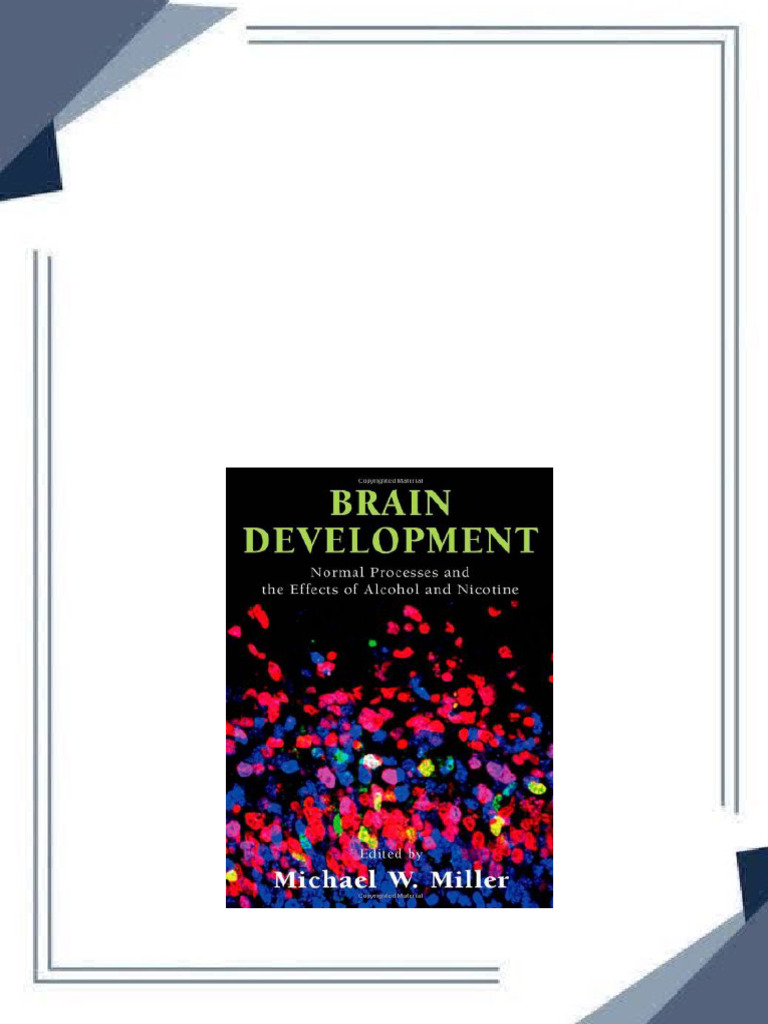 Brain Development Normal Processes and the Effects of Alcohol and ...