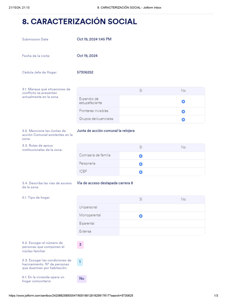Caracterización Social del Hogar | PDF | Invalidez | Enfermedades y trastornos humanos