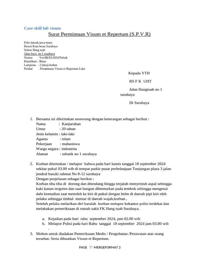 Case Skill Lab 2024 Skil Lab Visum | PDF