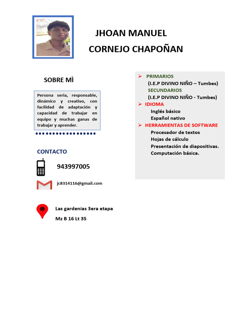 Curriculum Jhoan | PDF