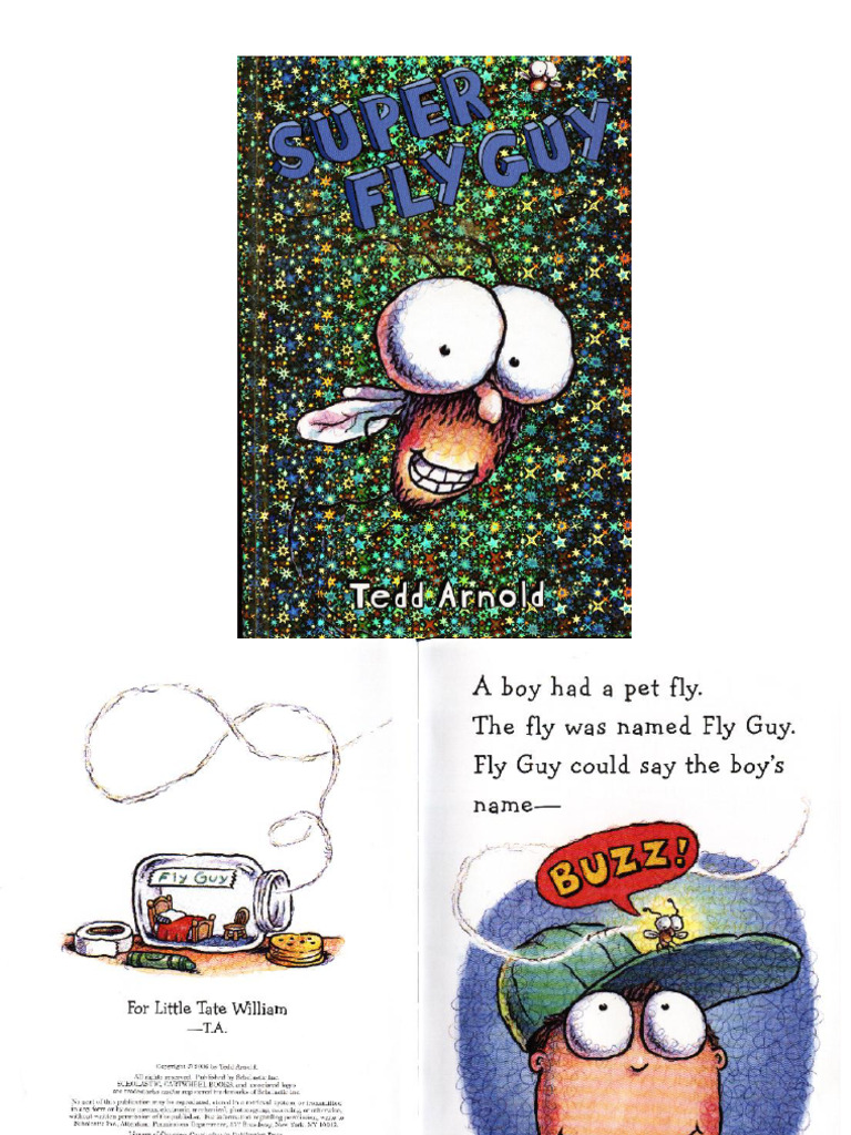 Book Super Fly Guy | PDF