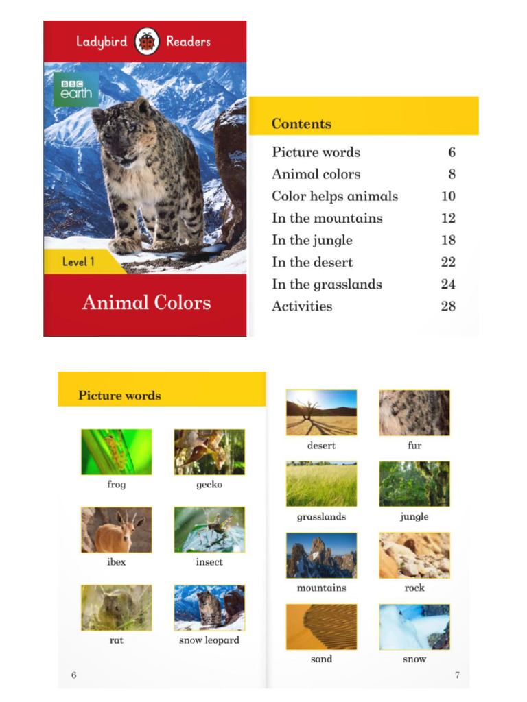 Animal - Colors 5th | PDF